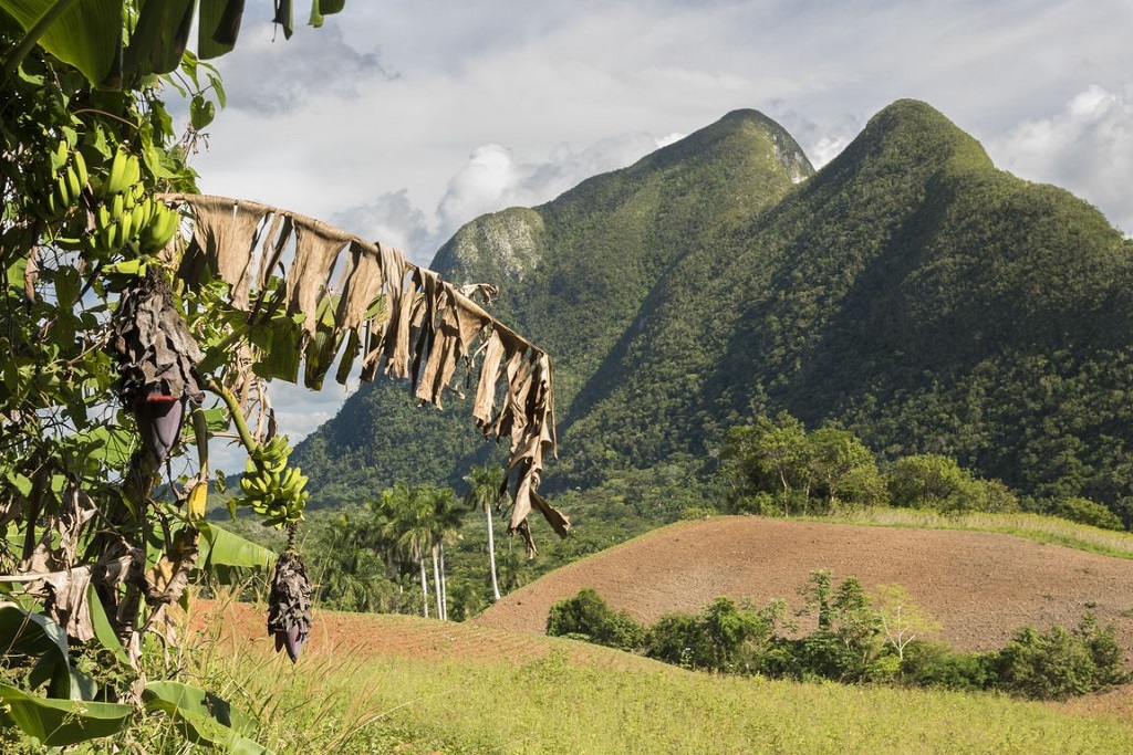 6 paisajes hermosos que deberías visitar en Cuba - Cubalite