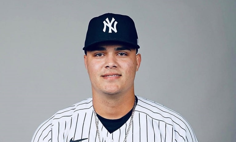 El misterio del pitcher cubano despedido por los Yankees: 183 ponches y ...